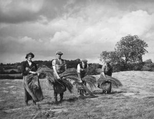 What is linen? A brief history of the world’s most ancient fabric – the ...