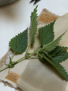 TUTORIAL: How to Create Beautiful Earthy Tones Naturally with Nettles ...